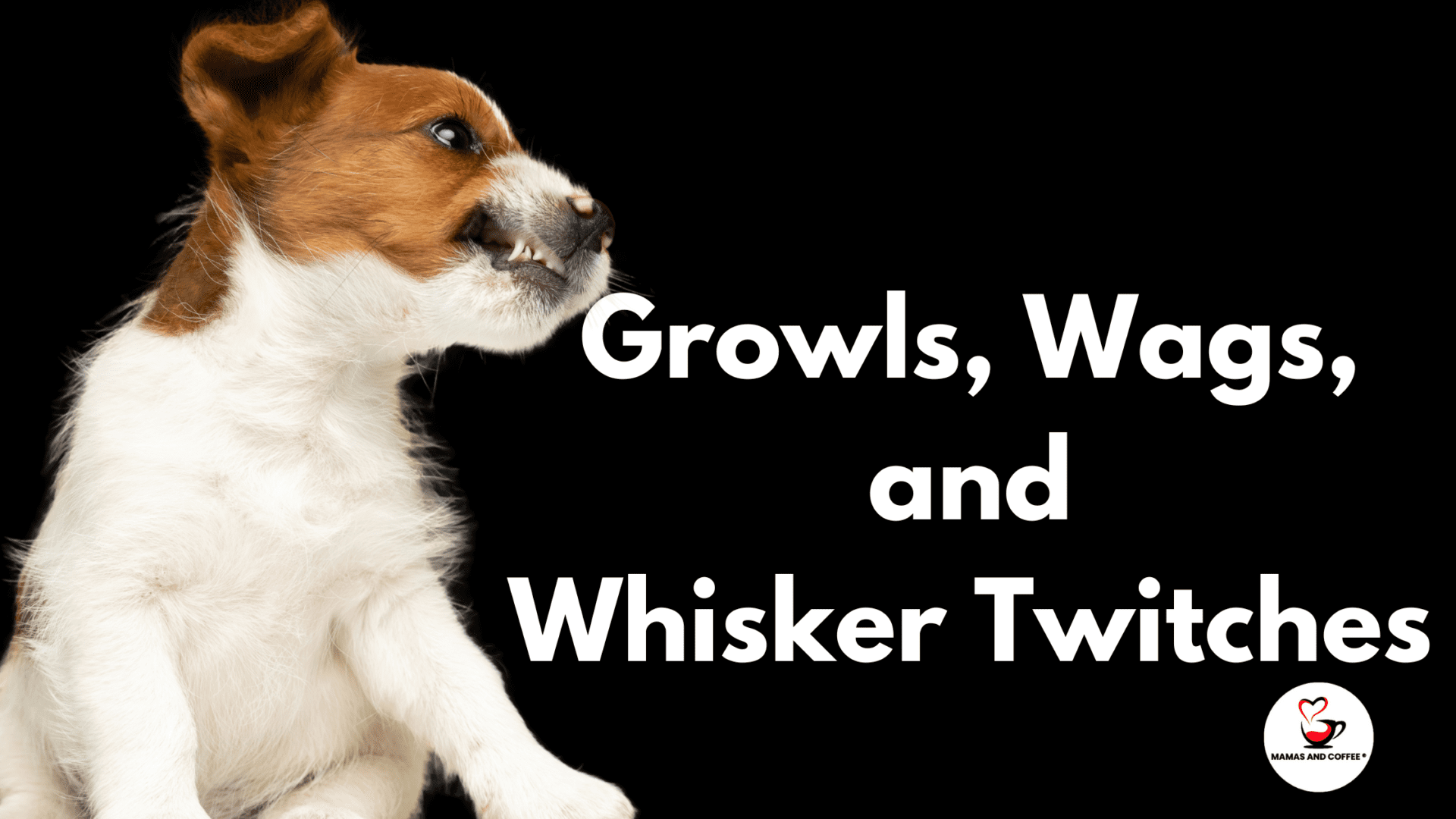 Empowering Women One Sip At A Time - Mamas and Coffee